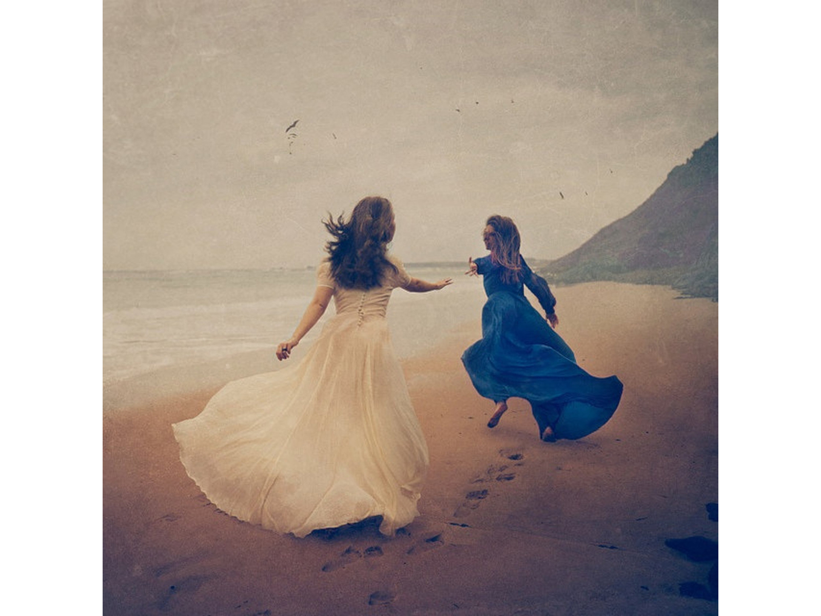 Shaden – Connection | We Chose Love